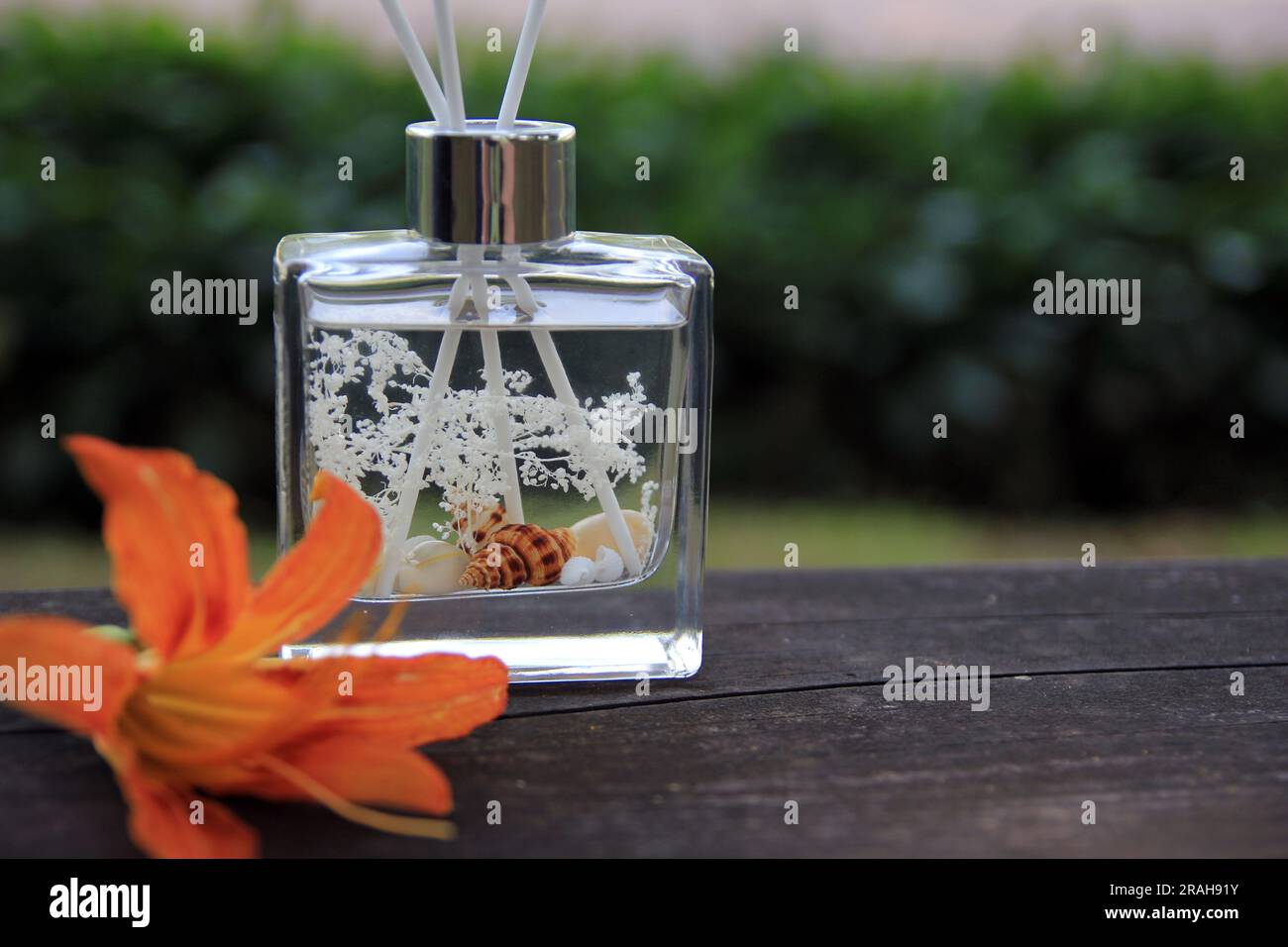 Clear glass bottle diffuser with sea shells and cotton fragrance ...