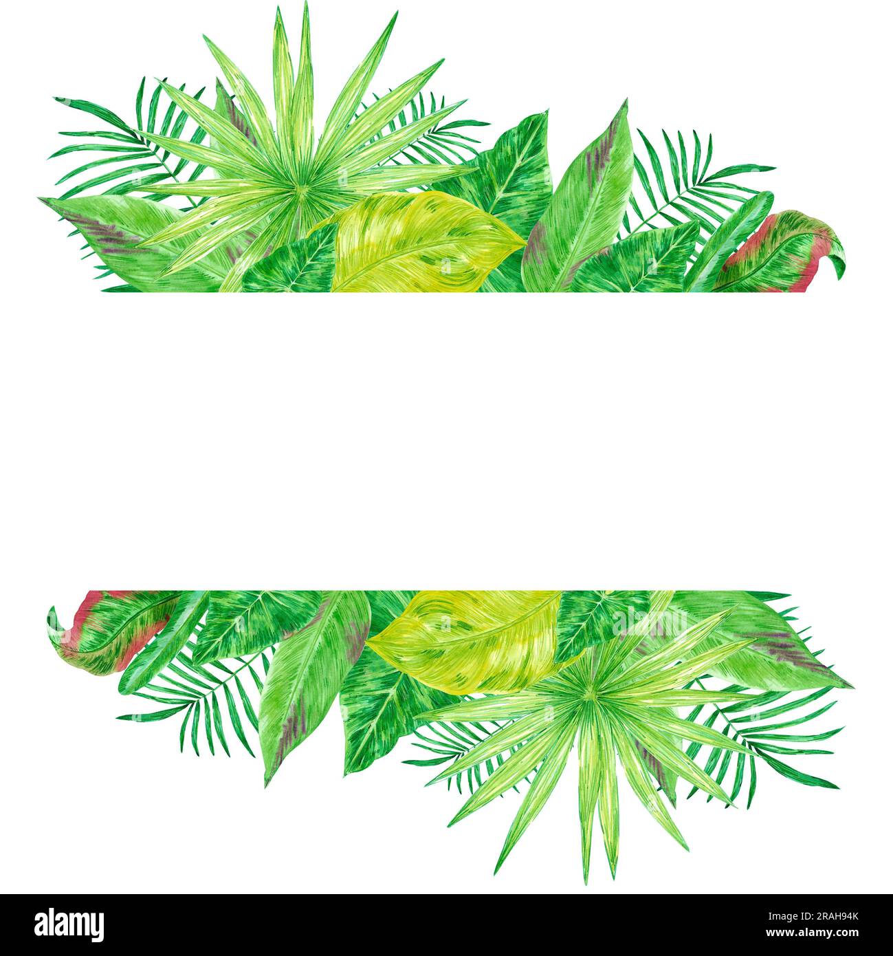 Hand drawn watercolor green tropical leaves boarder frame isolated on ...