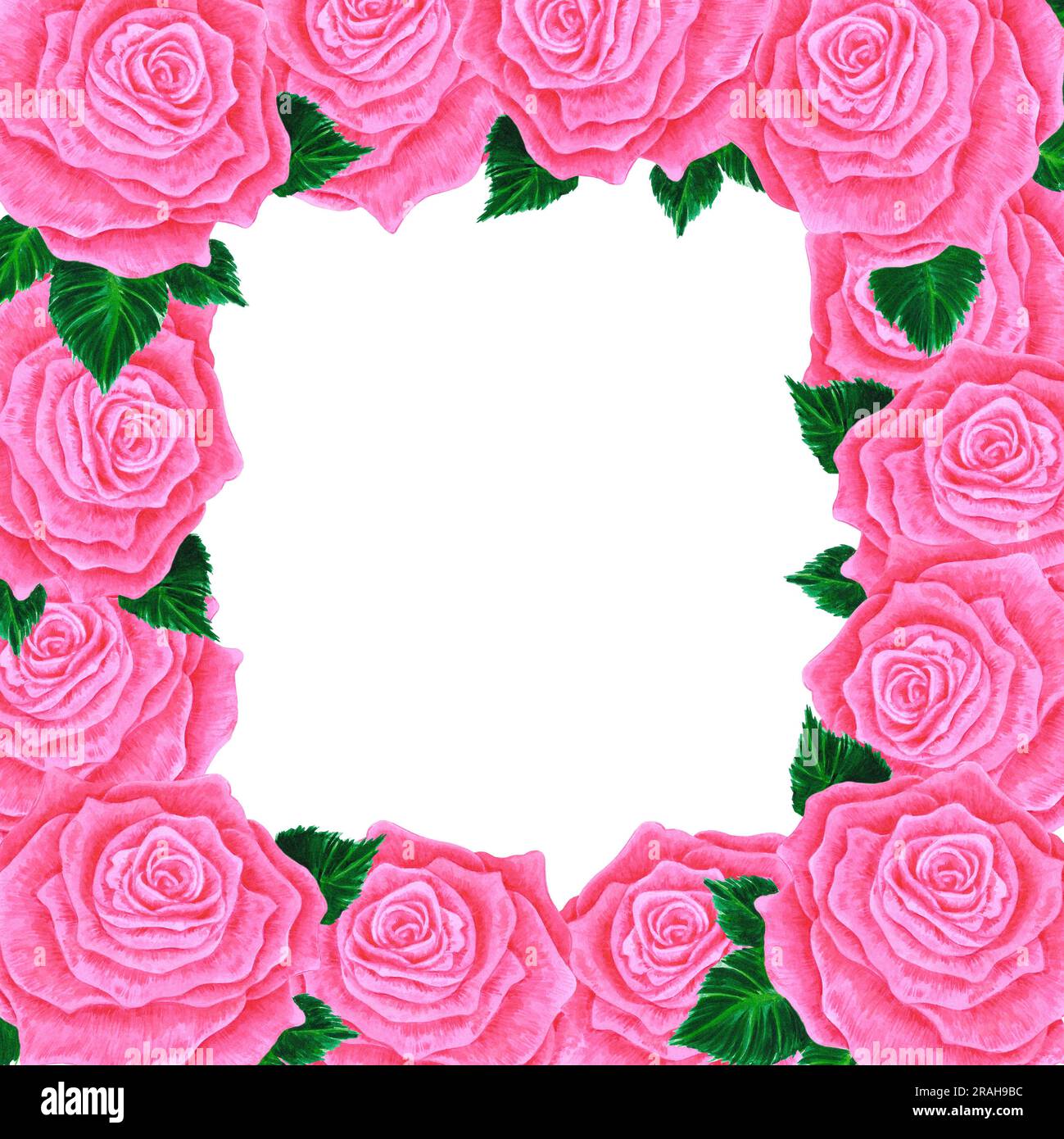 Hand drawn watercolor pink rose frame isolated on white background. Can ...