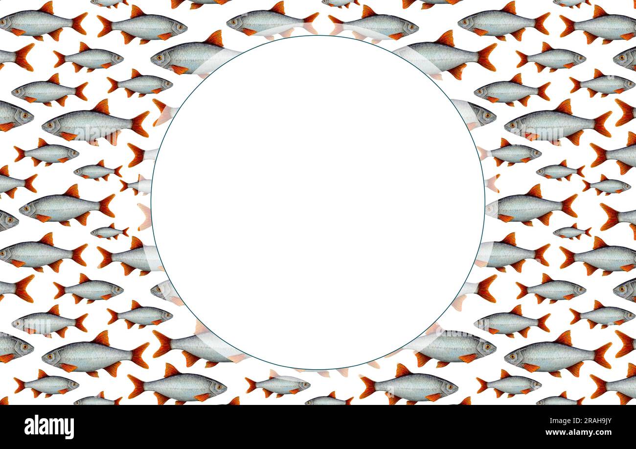 Watercolor drawing frame from fish with red fins in different sizes on ...