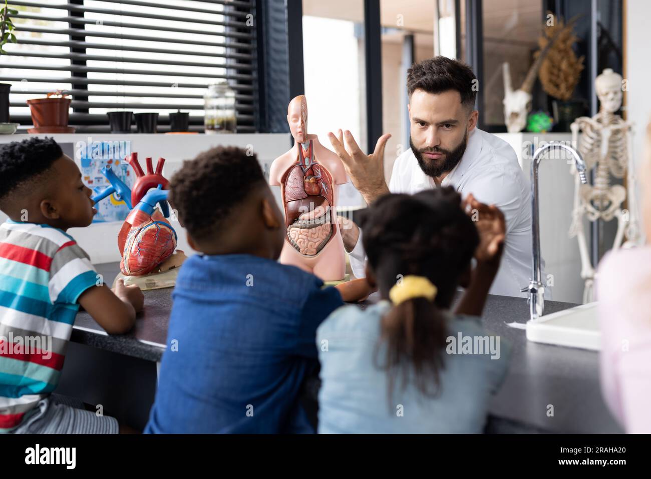 Diverse elementary school pupils and male biology teacher studying ...