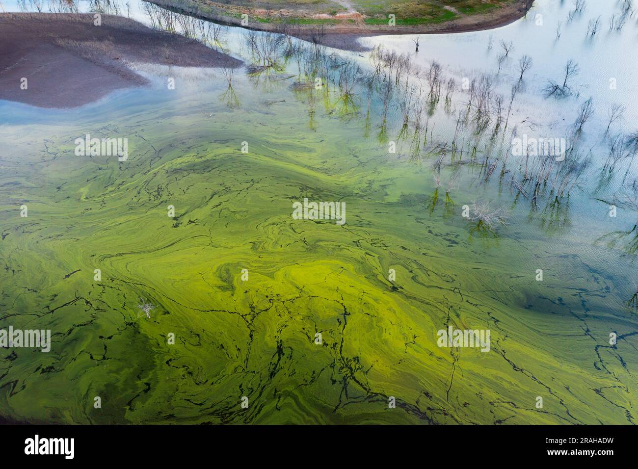 Aerial view of patterns in blue green algae on the waters surface of ...