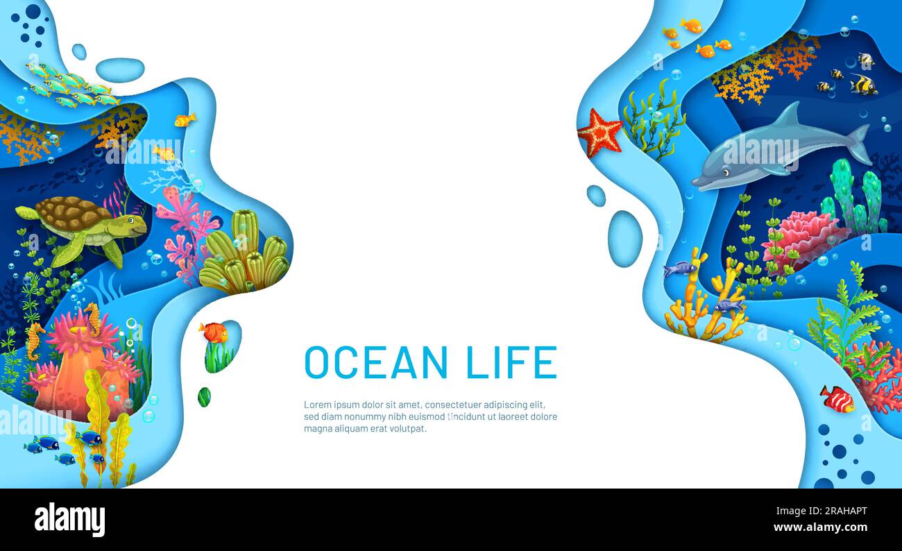 Cartoon turtle, dolphin, seaweeds and fish shoal. Paper cut sea ...