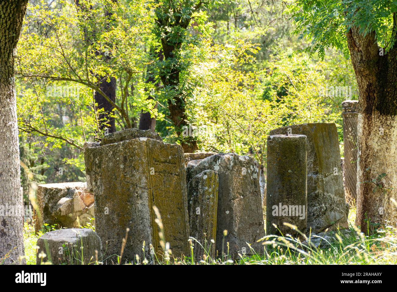 Djemila museum hi-res stock photography and images - Alamy