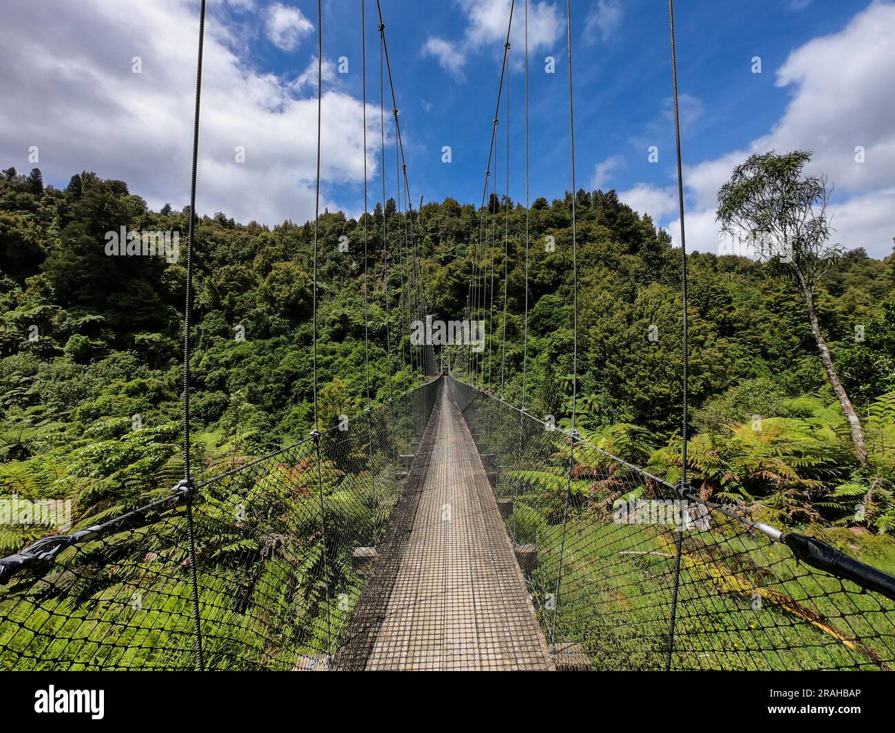 Orauwaka Suspension Bridge on the Pureora-Ongarue Timber Trail for ...