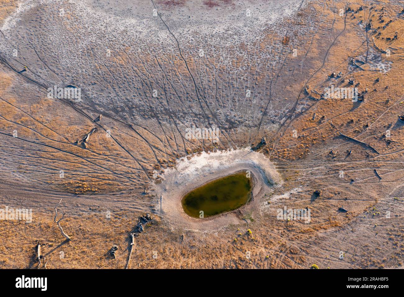 to a small dam near Dimboola in Victoria, Australia Stock Photo - Alamy