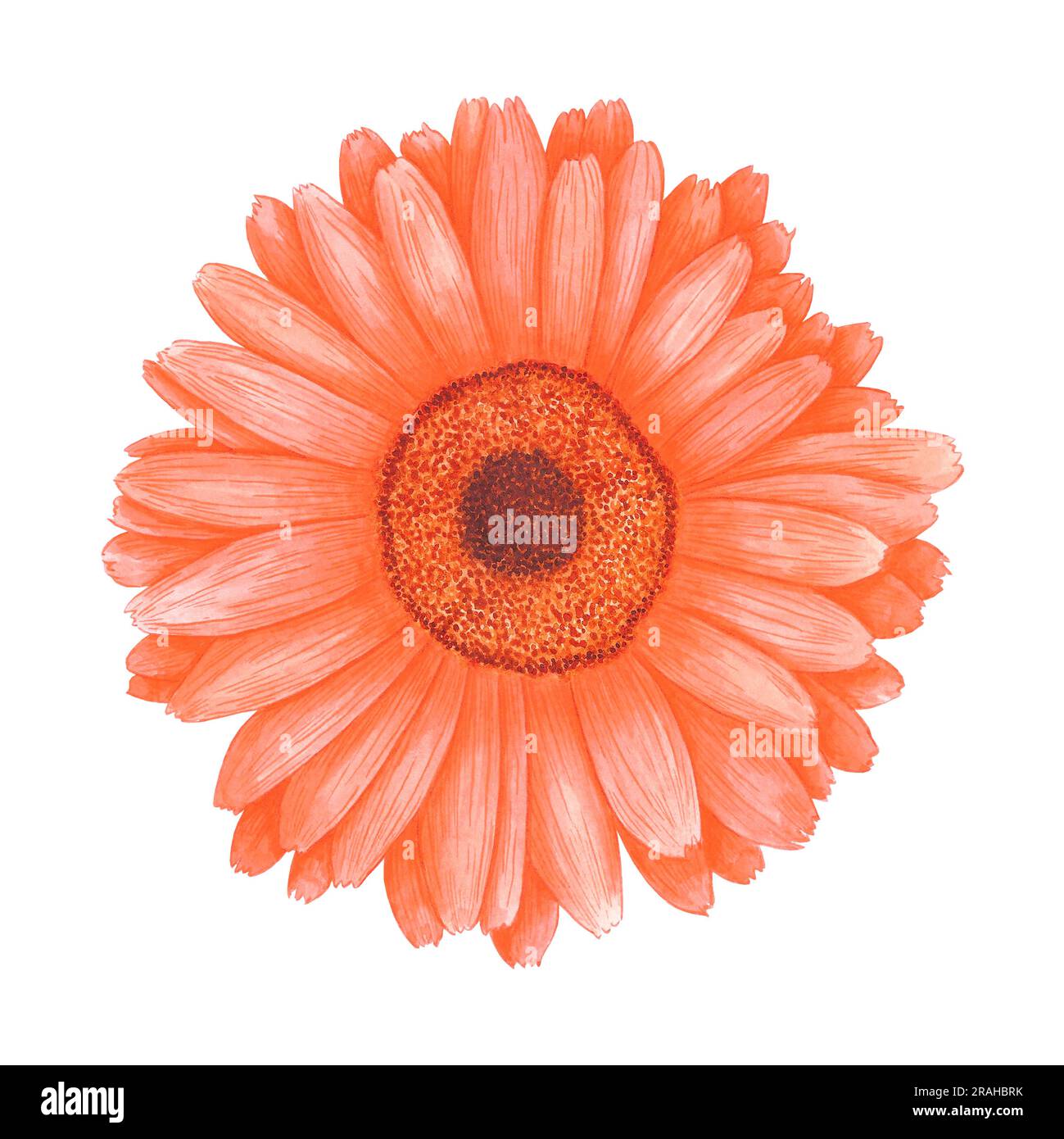 Post blooming Cut Out Stock Images & Pictures - Alamy