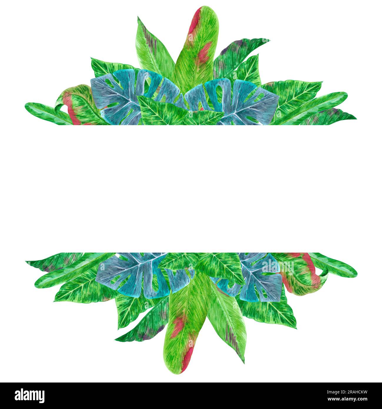 Hand drawn watercolor green tropical leaves boarder frame isolated on ...