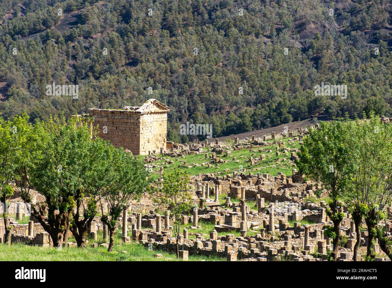 View of a Roman temple in the ancient town of Cuicul in Algeria. UNESCO ...