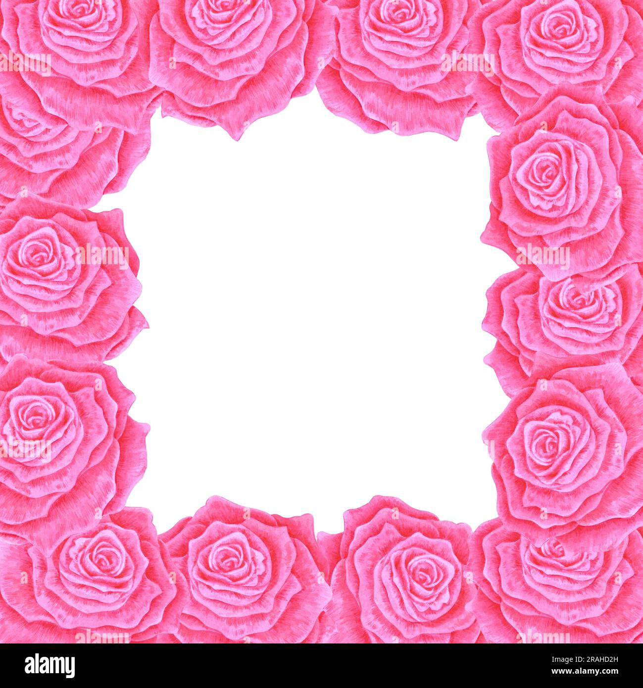 Hand drawn watercolor pink rose frame isolated on white background. Can ...