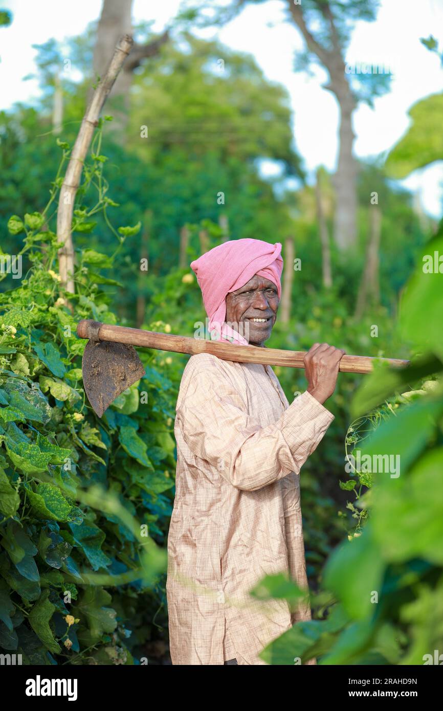 Indian farming happy farmer holding piggy bank in farm, poor farmer ...