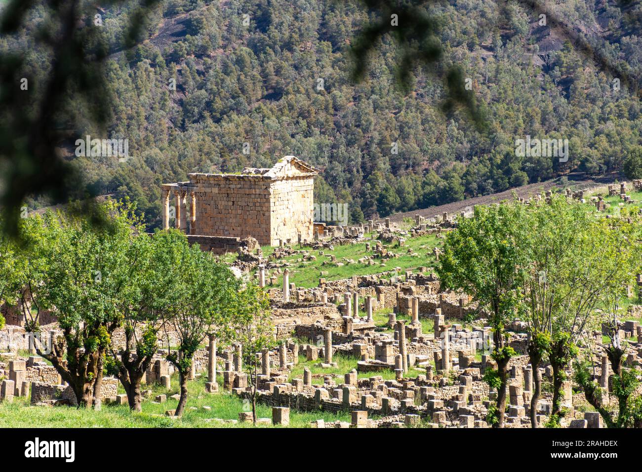 View of a Roman temple in the ancient town of Cuicul in Algeria. UNESCO ...