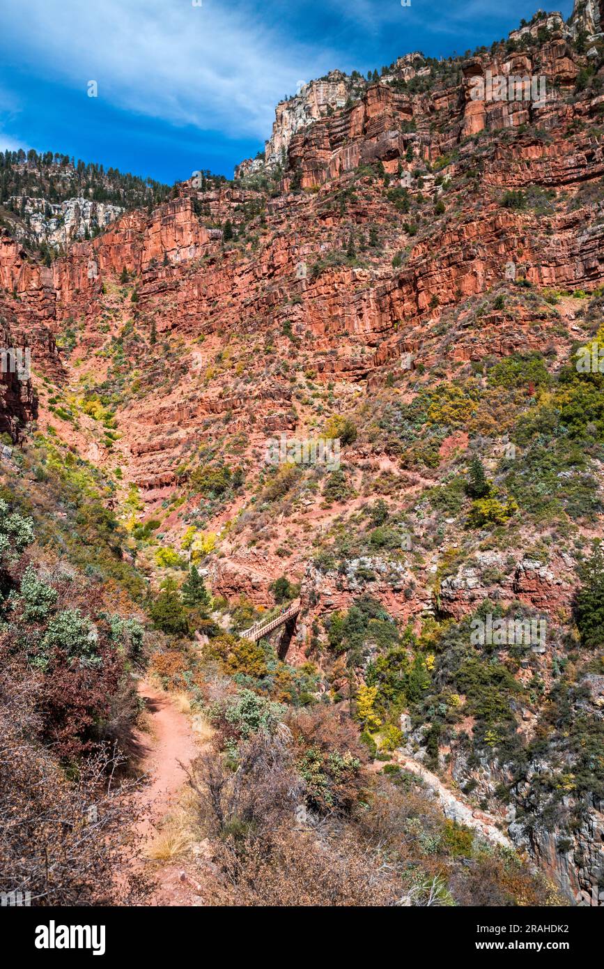 Hikers on footbridge in Roaring Springs Canyon, below North Rim, North ...