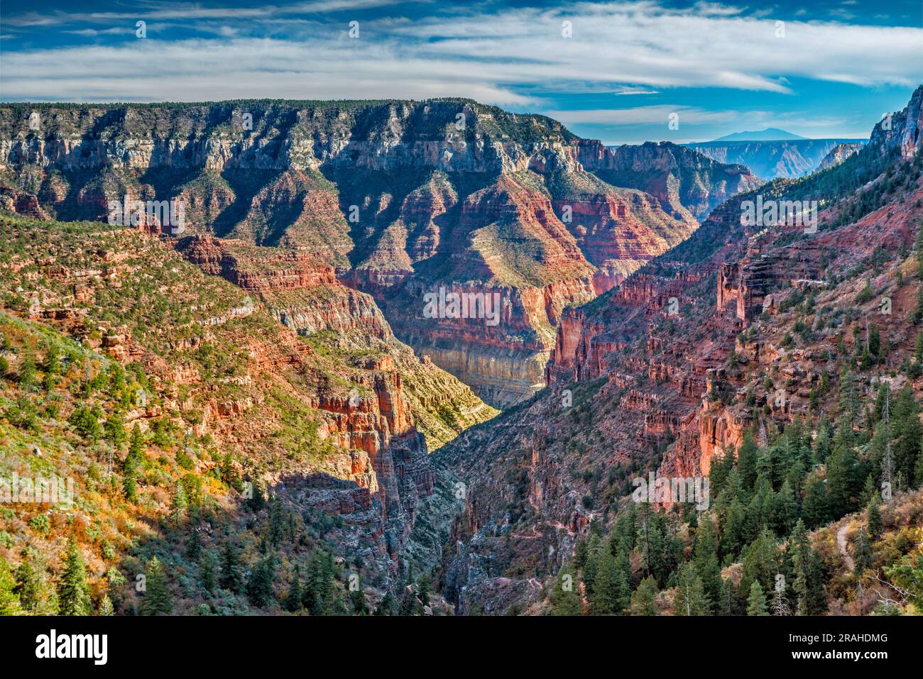 Roaring Springs Canyon, South Rim and San Francisco Peaks in far ...