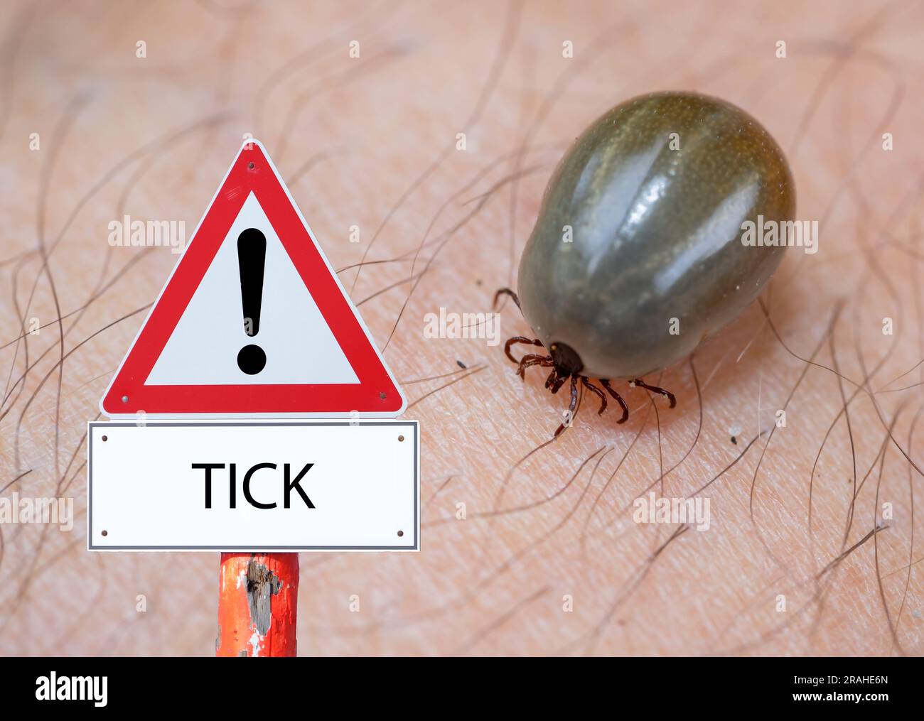 Warning sign ticks with a bloody tick Stock Photo - Alamy