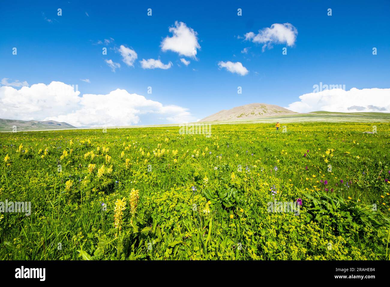 Landscape of Javakheti mountains in Georgia, Abuli mountains Stock ...