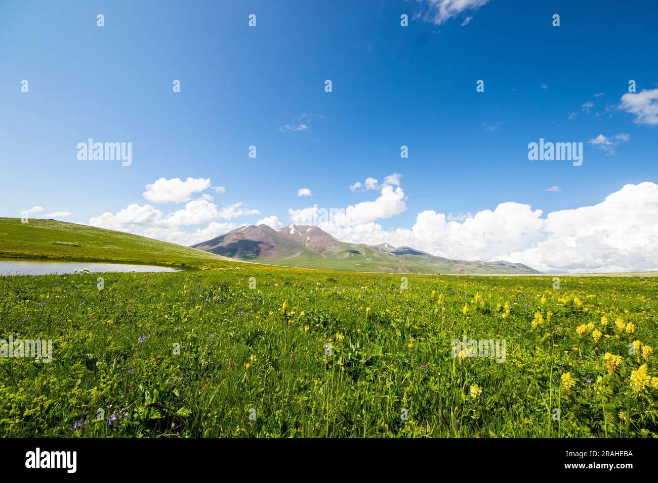 Landscape of Javakheti mountains in Georgia, Abuli mountains Stock ...