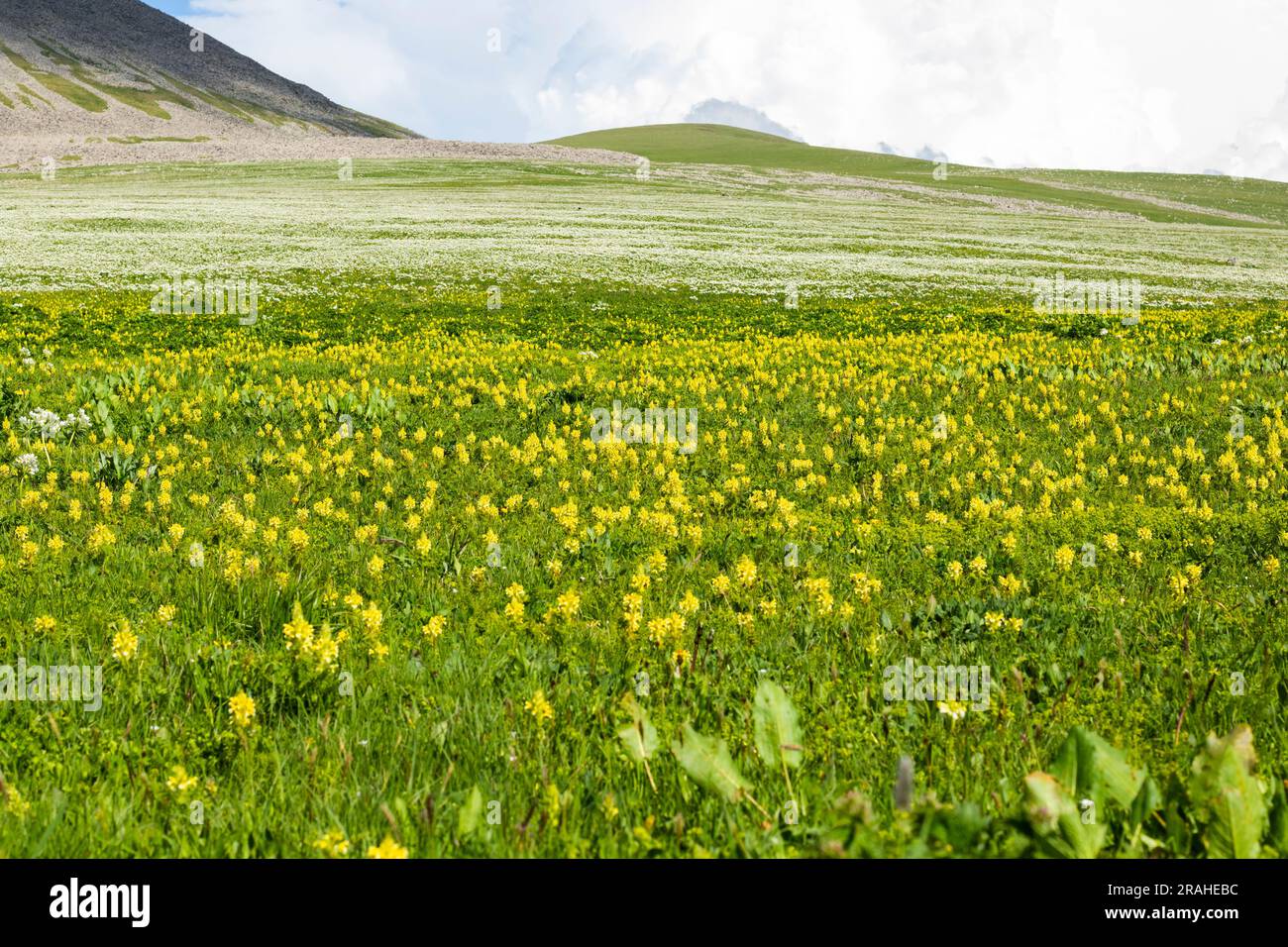 Landscape of Javakheti mountains in Georgia, Abuli mountains Stock ...