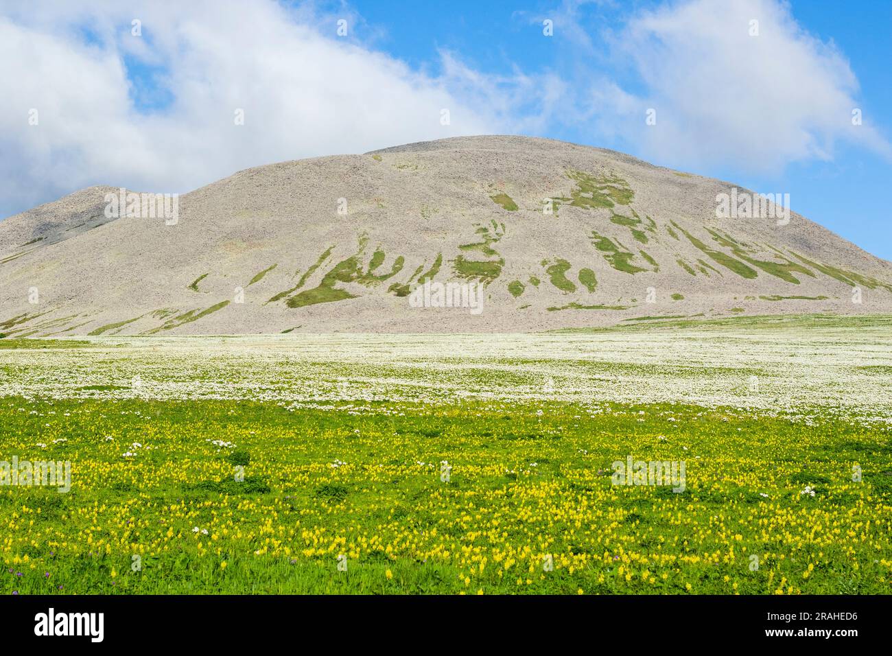 Landscape of Javakheti mountains in Georgia, Abuli mountains Stock ...