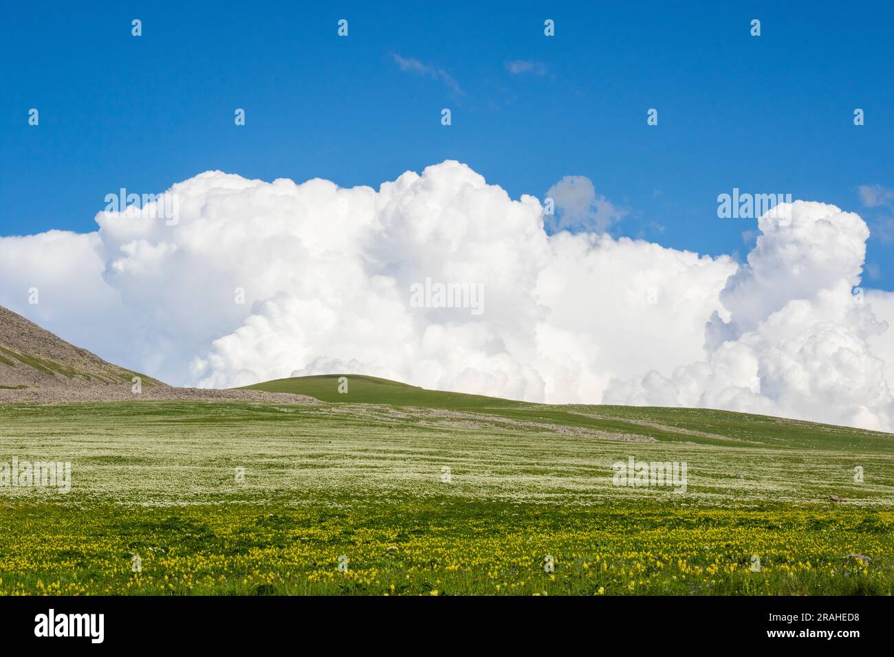 Landscape of Javakheti mountains in Georgia, Abuli mountains Stock ...