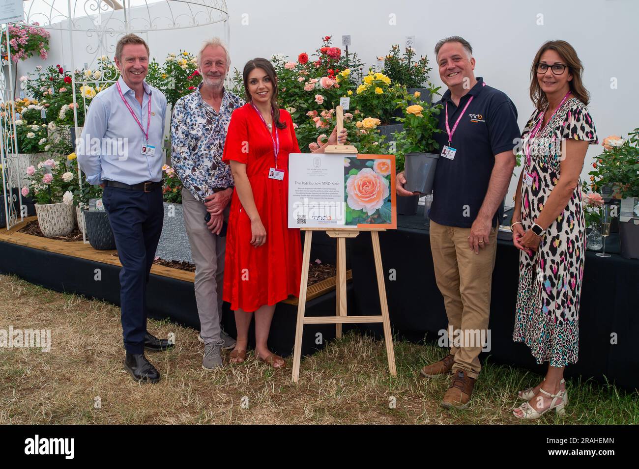 East Molesey, Surrey, UK. 3rd July, 2023. Harkness Roses were joined by ...