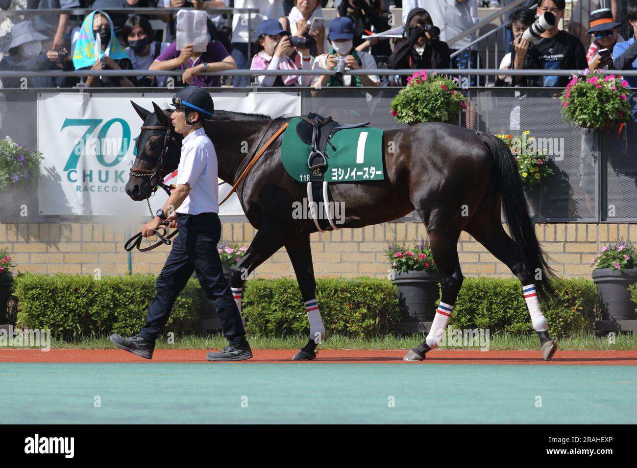 Aichi, Japan on July 2, 2023. Yoshino Easter is led through the paddock ...