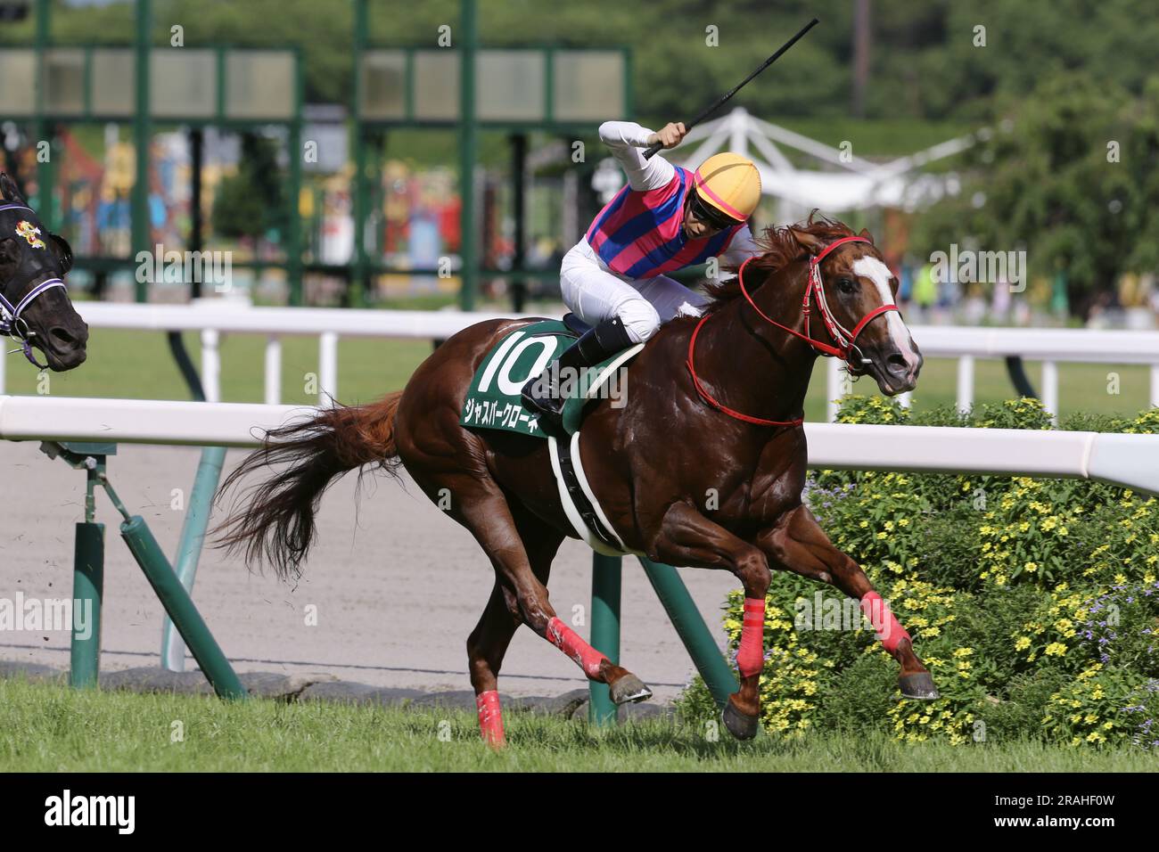 Alamy krone hi-res stock photography and images - Alamy