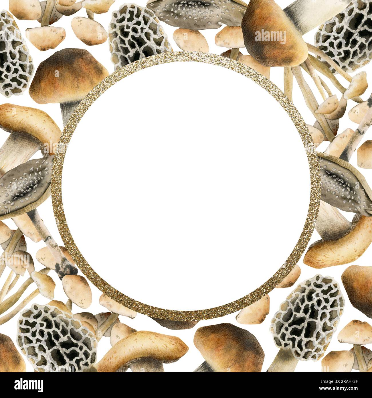 Brown edible mushrooms round frame template with border watercolor ...