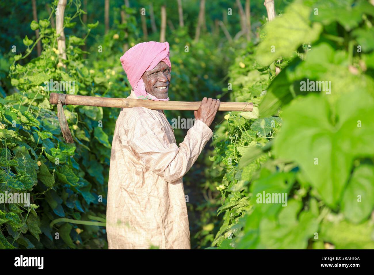 Indian farming happy farmer holding piggy bank in farm, poor farmer ...