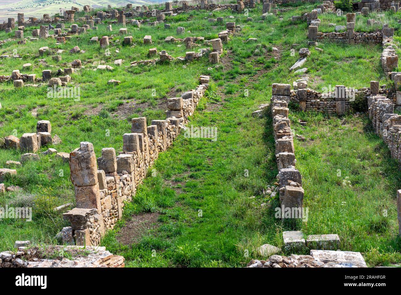 Roman ruins in the ancient town of Cuicul in Djemila, Setif, Algeria ...