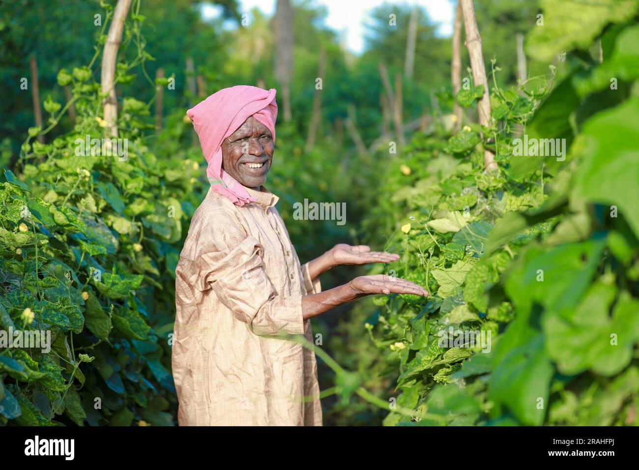 Indian farming Happy indian farmer standing in farm, sowing Empty Hands ...