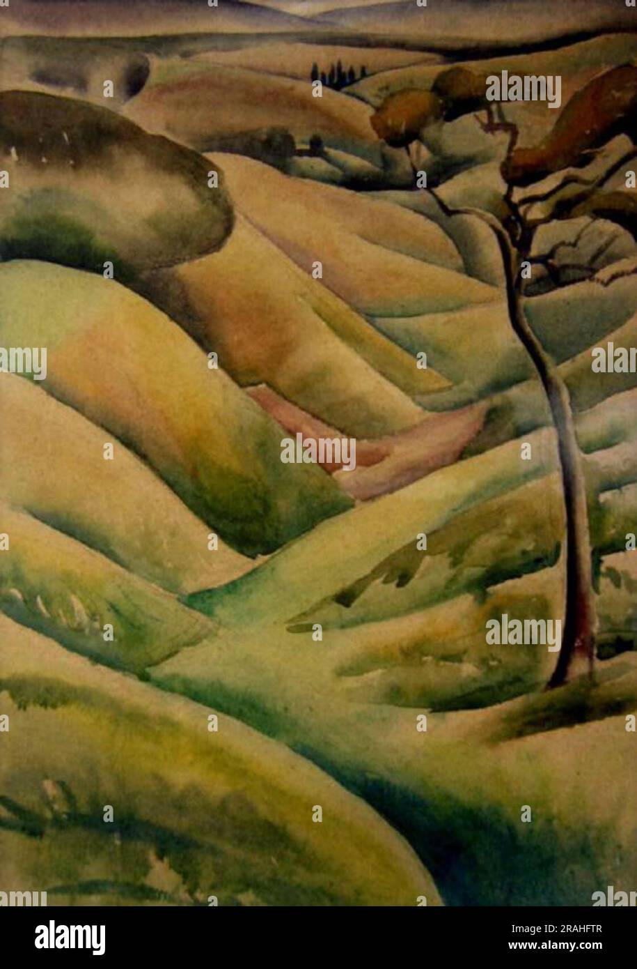 Adelaide Hills 1935 by Dorrit Black Stock Photo - Alamy