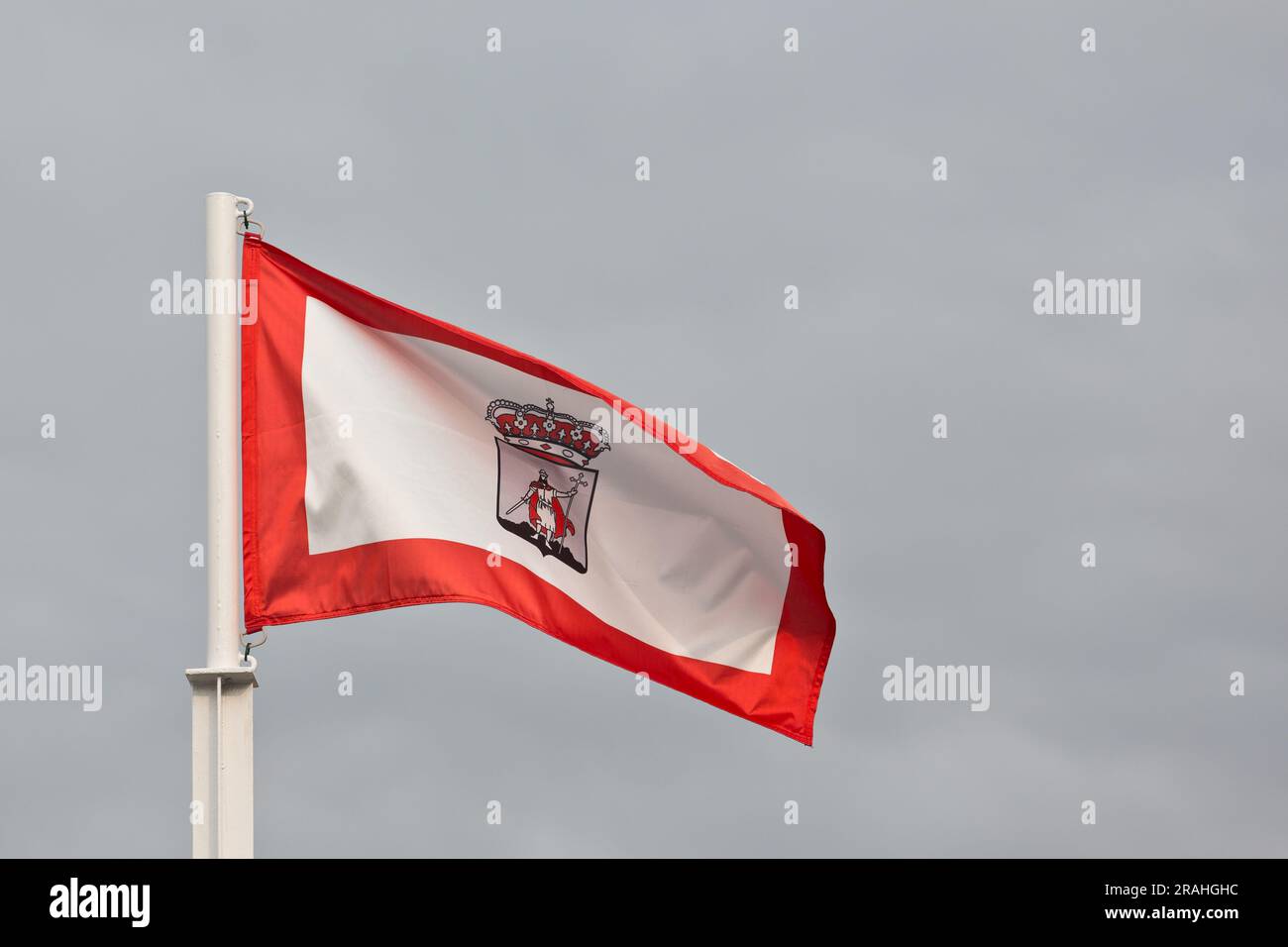 Sailor Bear Baylor Flag