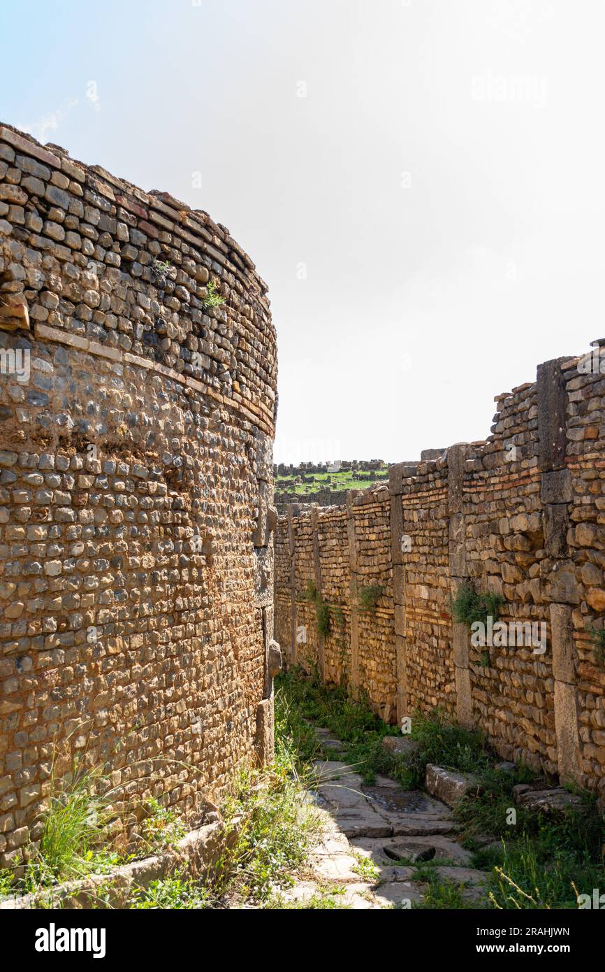 Roman ruins in the ancient town of Cuicul in Djemila, Setif, Algeria ...