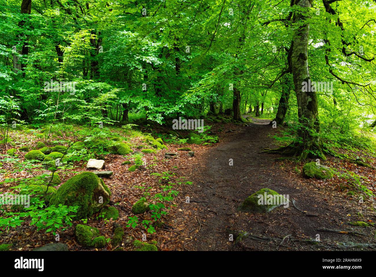 Wet hiking hi-res stock photography and images - Alamy
