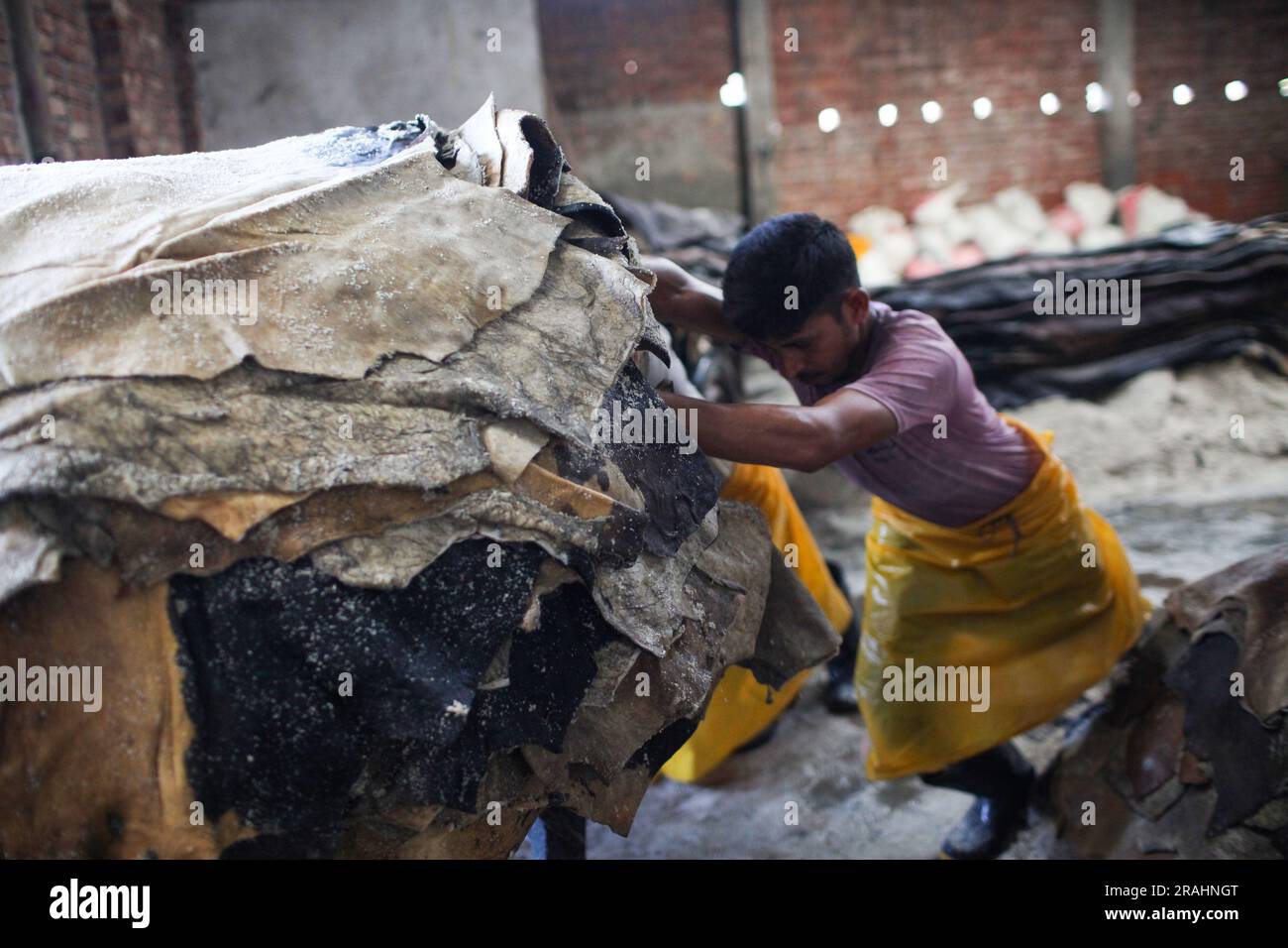 Dhaka, Dhaka, Bangladesh. 4th July, 2023. A labor working at a tannery ...