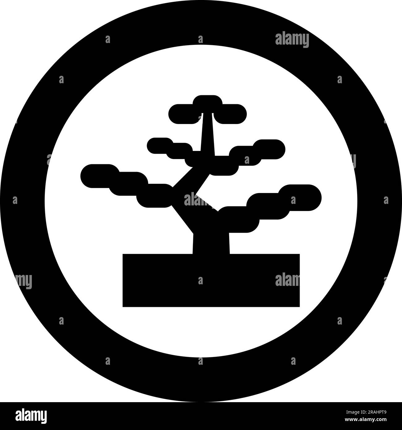 Bonsai pine tree garden concept plant japanese icon in circle round ...