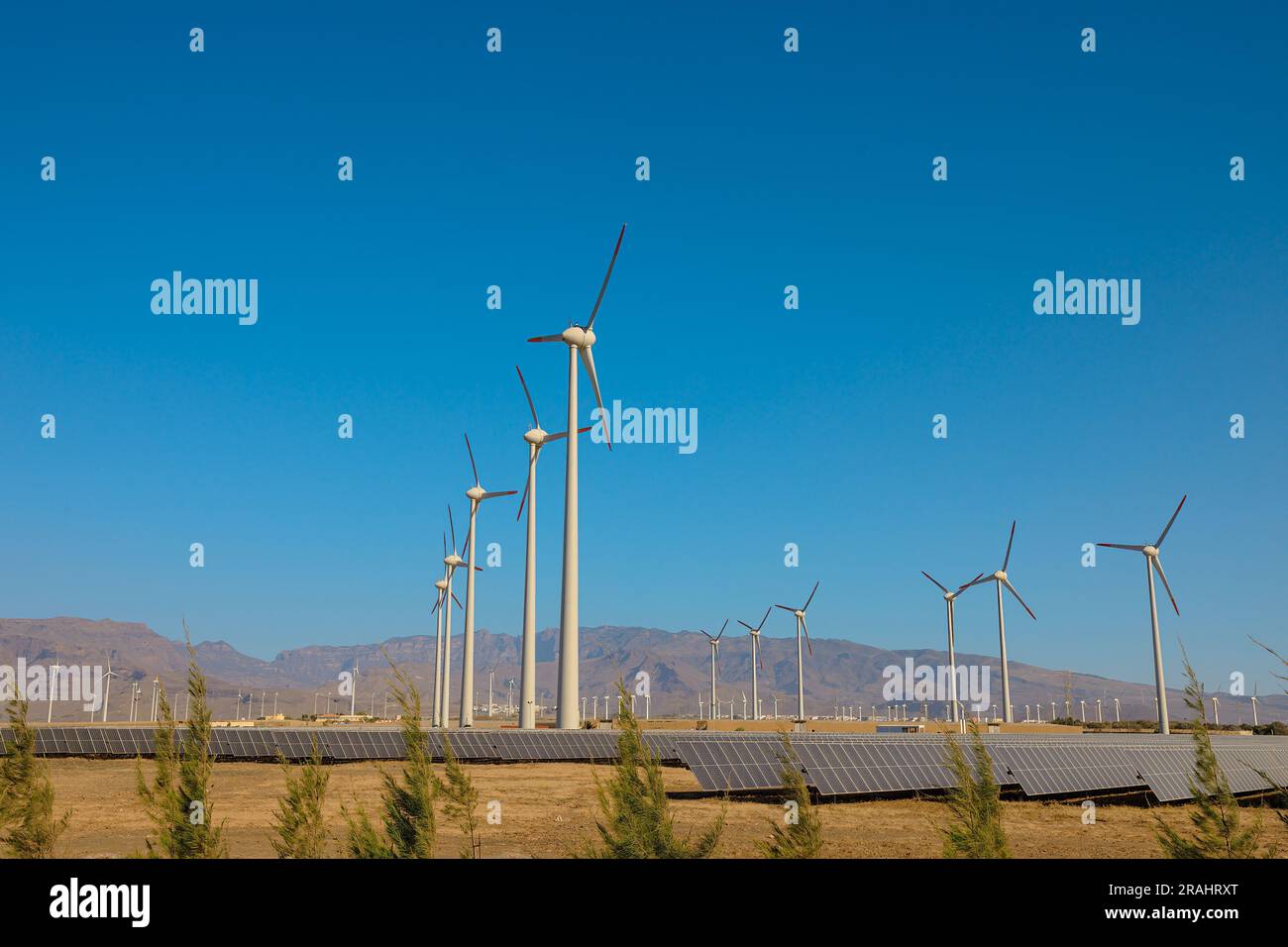 clean energy power plant with solar panels: towering giants and sleek ...
