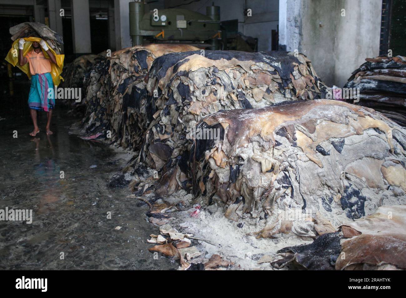 Dhaka, Dhaka, Bangladesh. 4th July, 2023. A labor working at a tannery ...