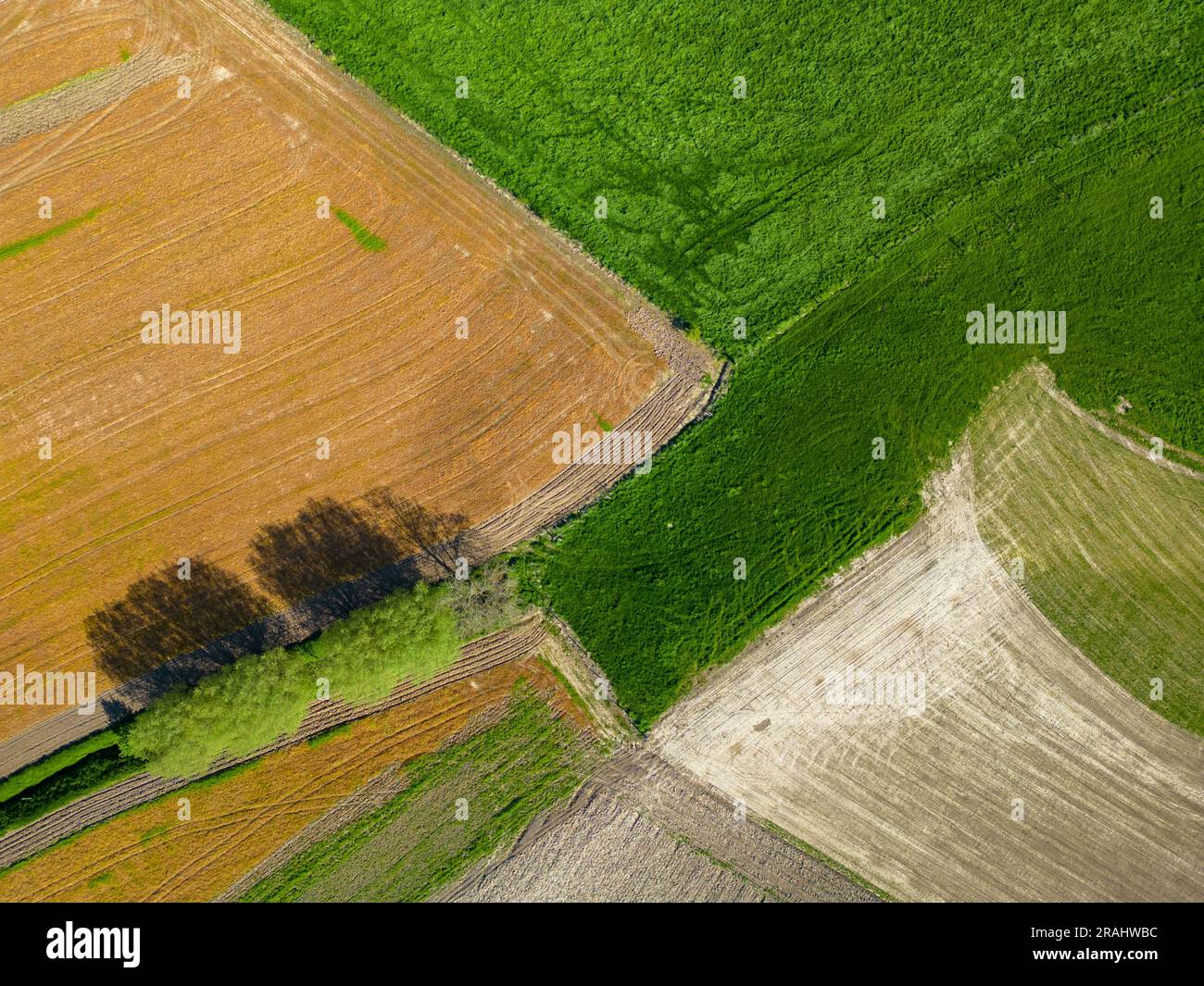 Fantastic colorful aerial photography of green wavy field in sunny day ...