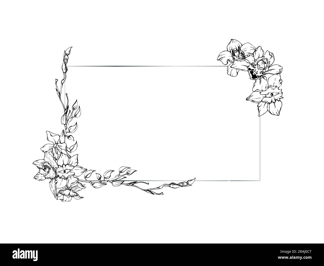 Hand drawn vector ink orchid flowers and branches, monochrome, detailed ...