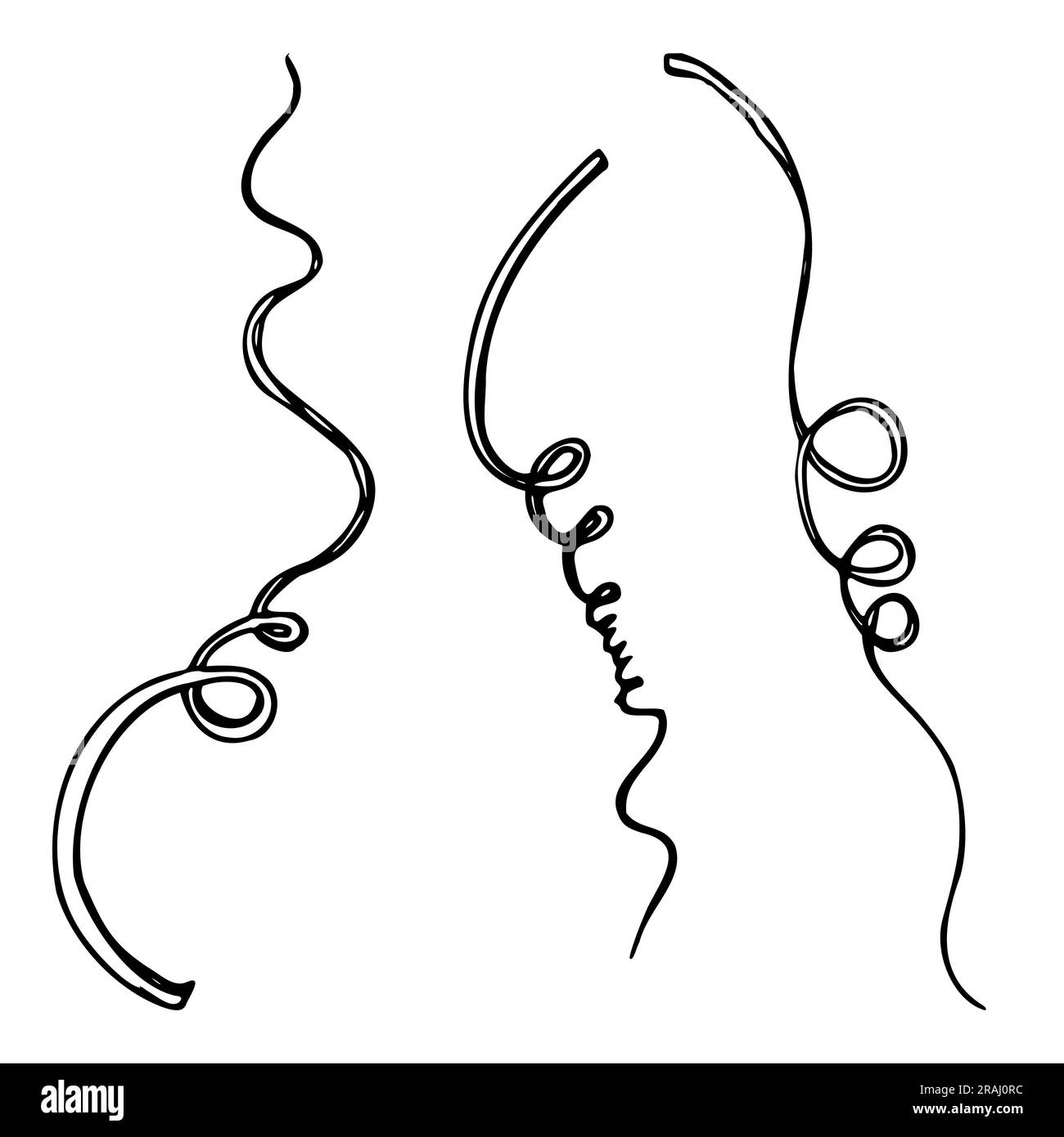 Hand drawn ink vector pumpkin squash vine and tendrils. Sketch ...