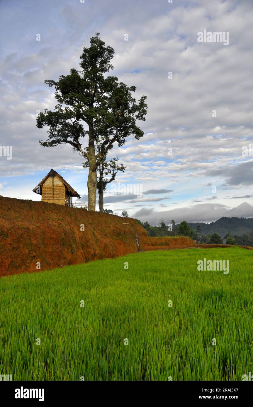 Traditional rice bard building in Indonesia Stock Photo - Alamy