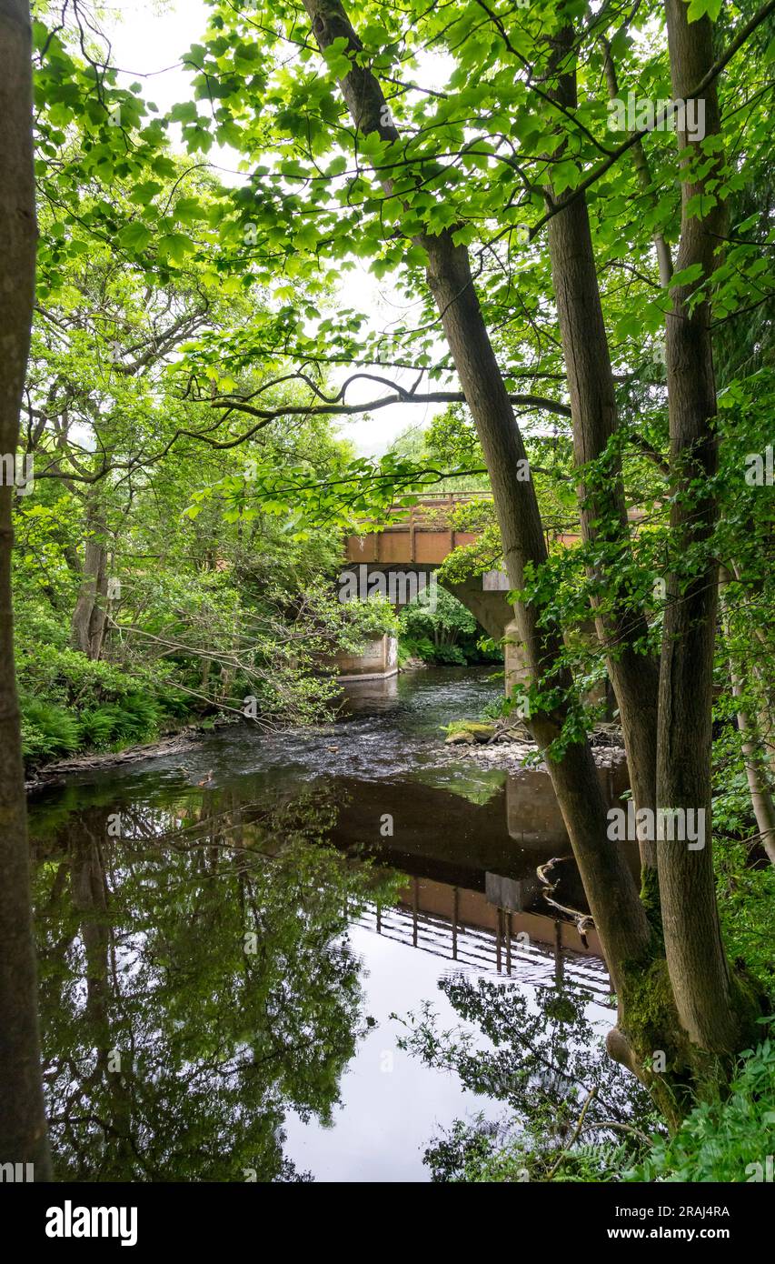 River Nidd passing under wood footbridge, Pateley Bridge, Nidderdale ...