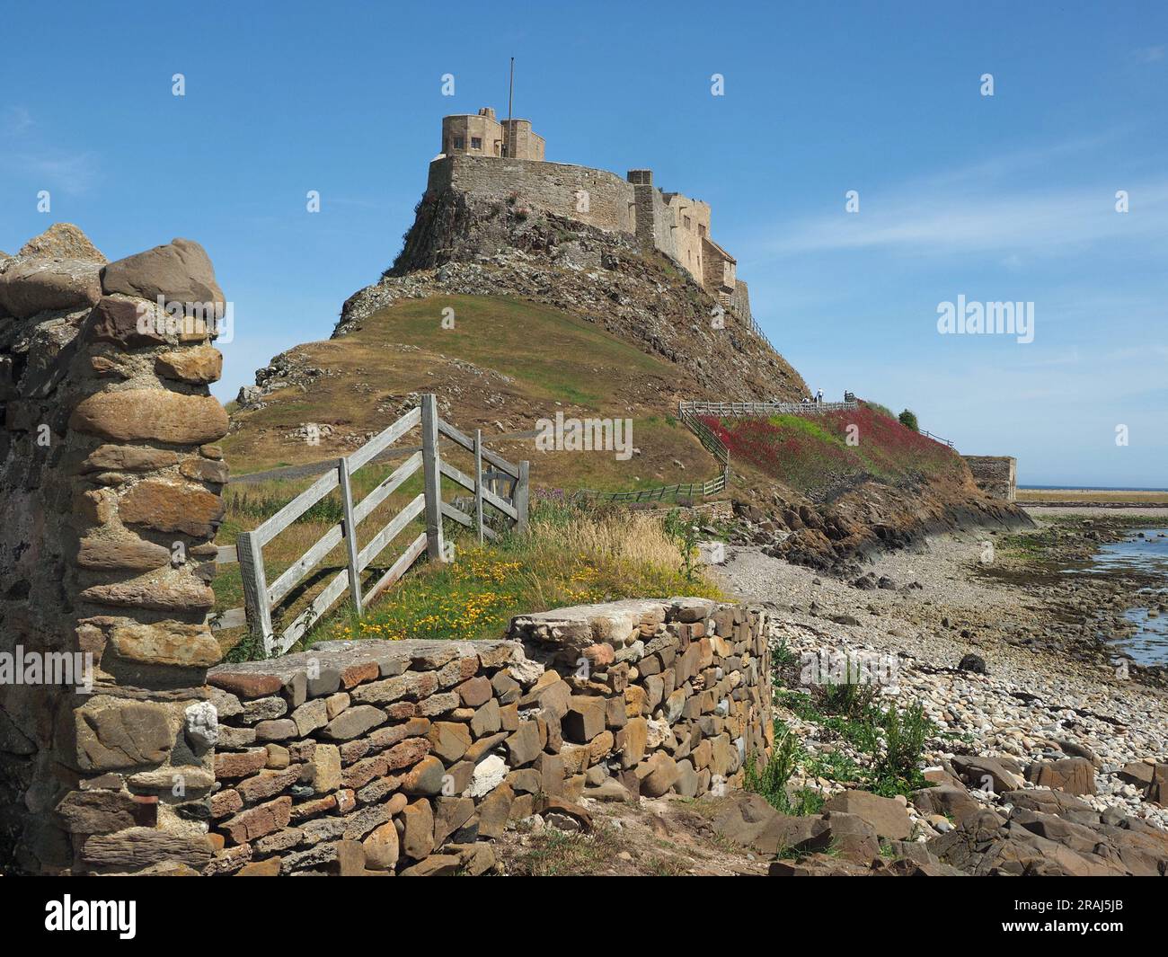classic sunny view of Lindisfarne Castle on highest part of whinstone ...