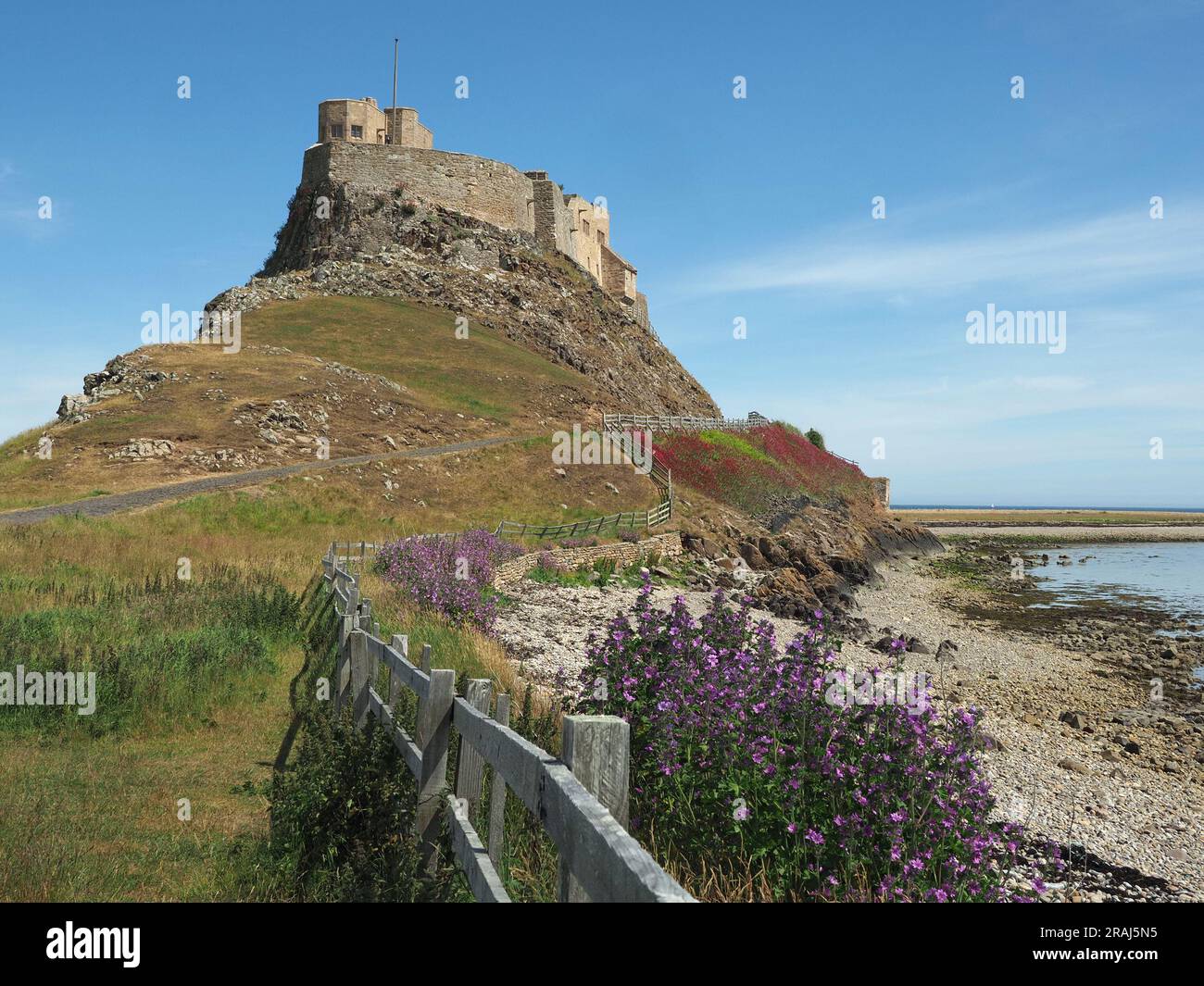 classic sunny view of Lindisfarne Castle on highest part of whinstone ...