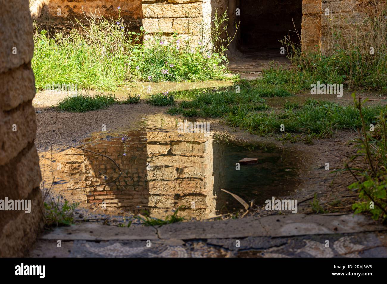 Close-up Roman ruins reflection on the rainwater pond in the ancient ...