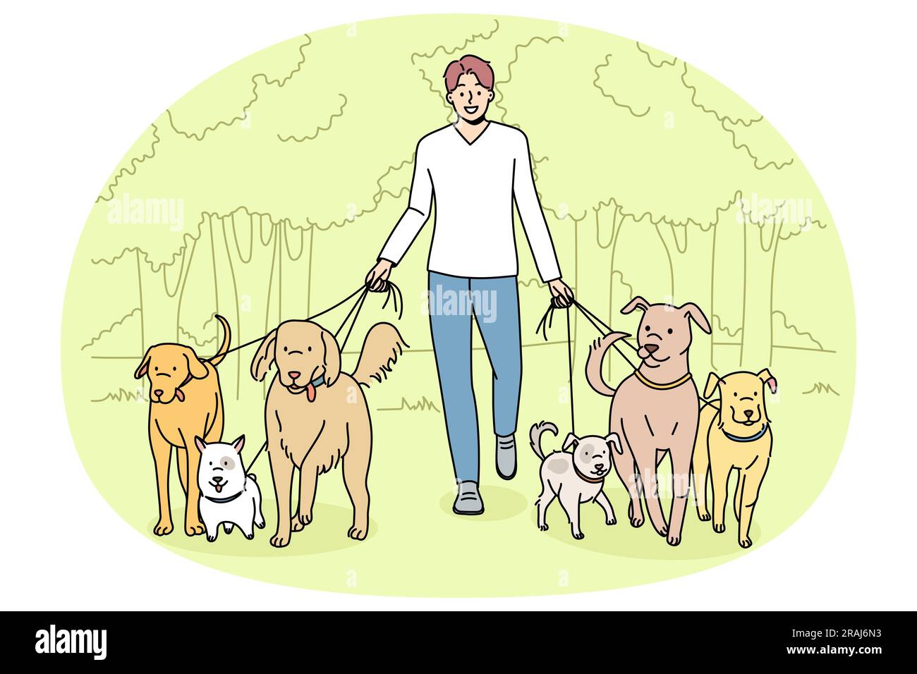 Smiling man walking dogs on leashes in park. Happy male walker provide ...