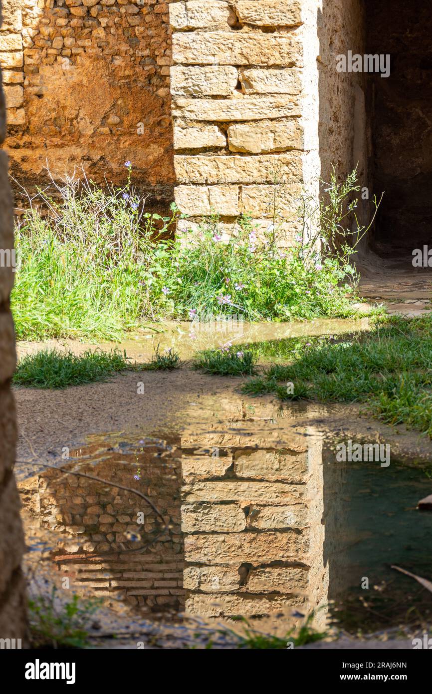 Close-up Roman ruins reflection on the rainwater pond in the ancient ...