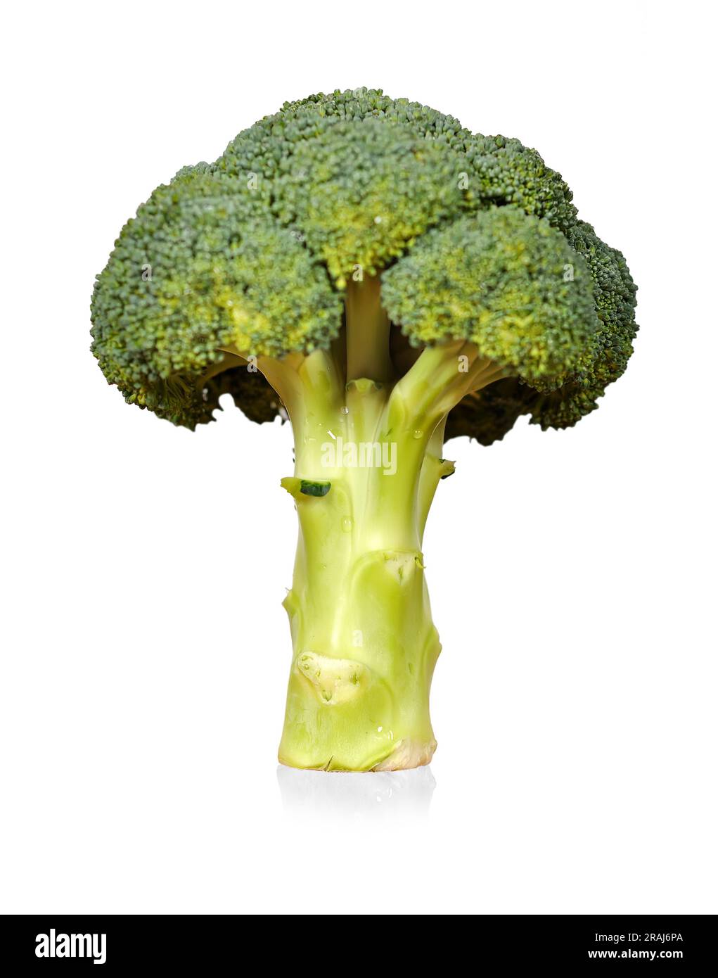 Fresh green broccoli vegetables Cut Out Stock Images & Pictures - Alamy